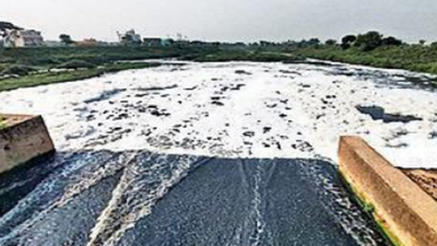 Ngt Forms Panel To Assess Pollution In Gangua Canal | Cuttack News ...