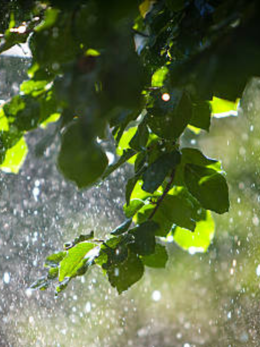 Interesting Facts: These 5 Cities Never Witnessed Rain | Times Now