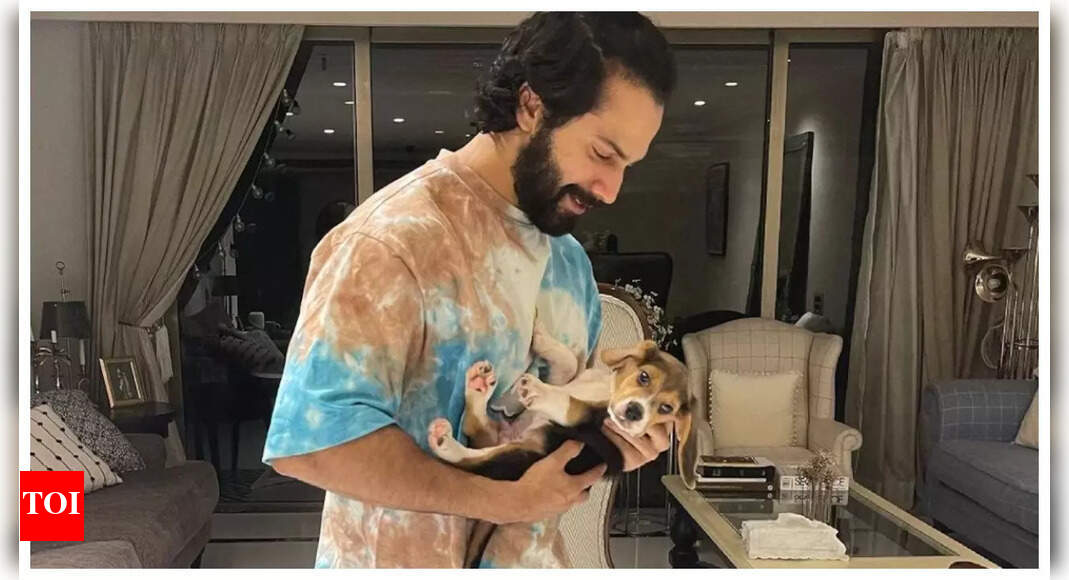 Varun says his dog Joey has created 'Bawaal' in his life, has grounded ...