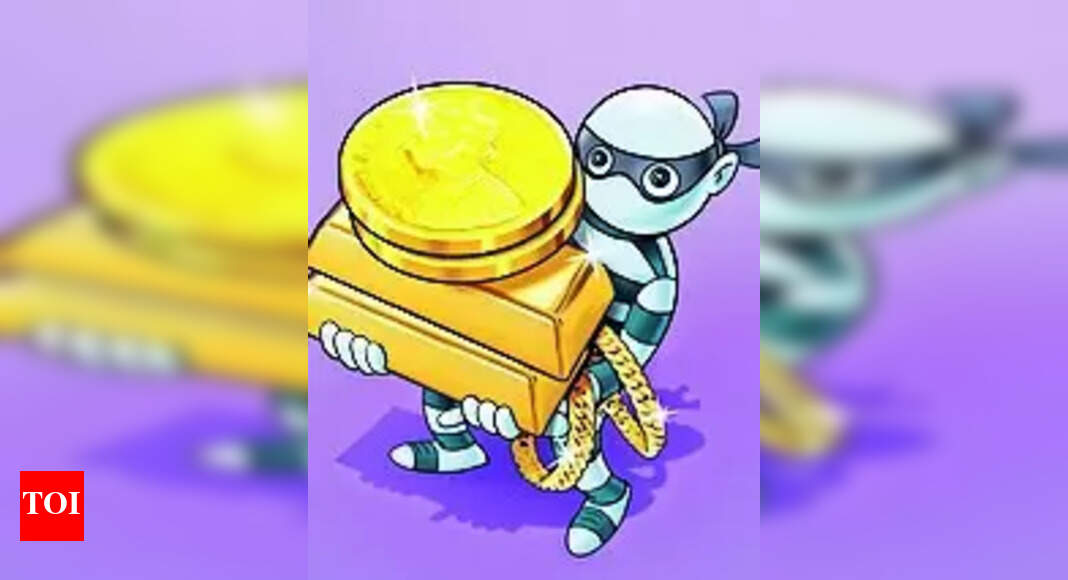 4 Bike-borne Fake Cops Rob Exec Of Gold On Expressway | Bengaluru News ...