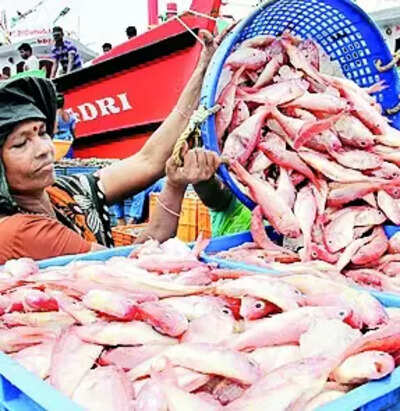 Gujarat: Gujarat Leads In Marine Fish Production In India: Govt ...