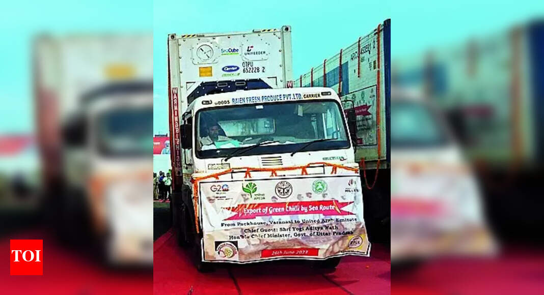 Agricultural Cargo From Lbsi Airport Grows 420% | Varanasi News - Times ...