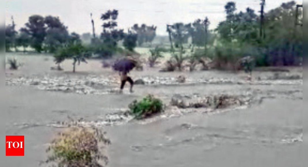 Five kids drown as rain fury hits north Gujarat, Mahisagar | Vadodara ... Five kids drown as rain fury hits north Gujarat, Mahisagar | Vadodara ...