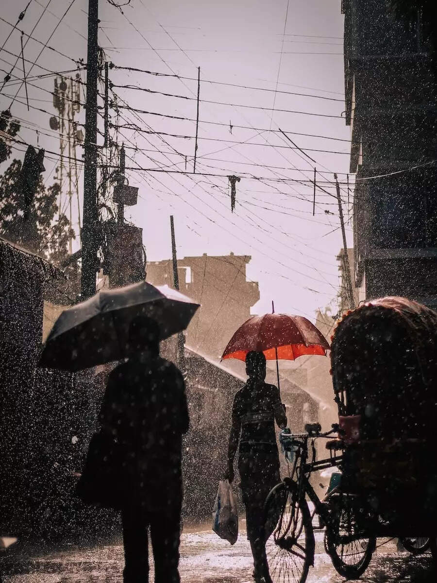 Zodiac Signs Who Love Rainy Season Times Of India