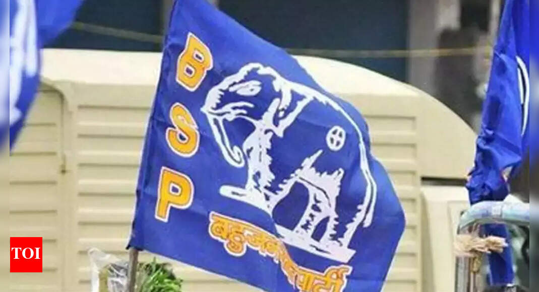 Browbeating Before They Go To Bed:anatomy Of Cong-sp Alliance-making ...