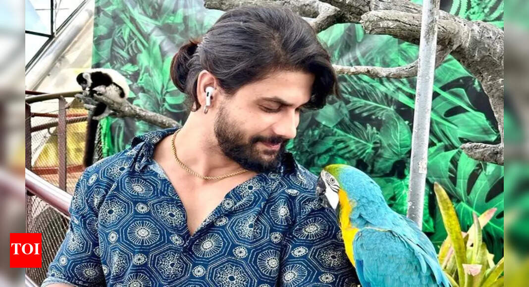 Here’s what keeping actor Swastik Ghosh busy - Times of India