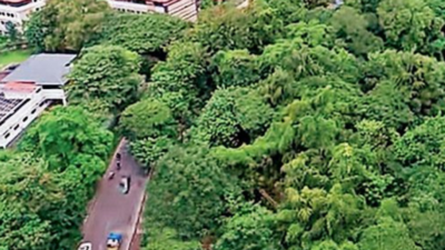 New Infopark Campus Likely To Be Part Of Bliss City Plan | Kochi News ...