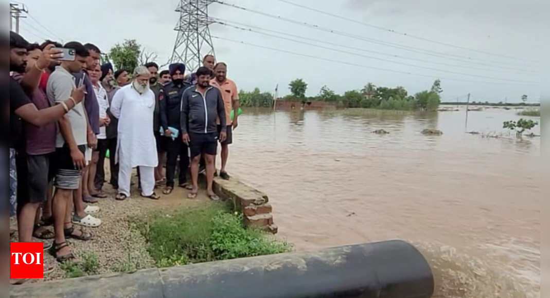 Ambala district reels from flooding after two days of nonstop rainfall ...