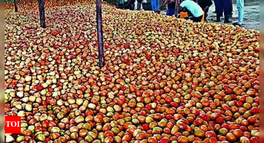 Tomato supply dips at APMC; prices likely to rise further | Nashik News ...