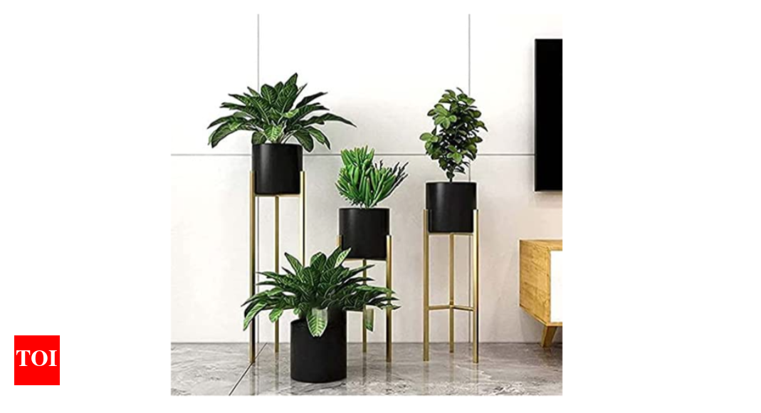 Pots for Indoor Plants Under 1000: Budget-Friendly Beauties | - The ...