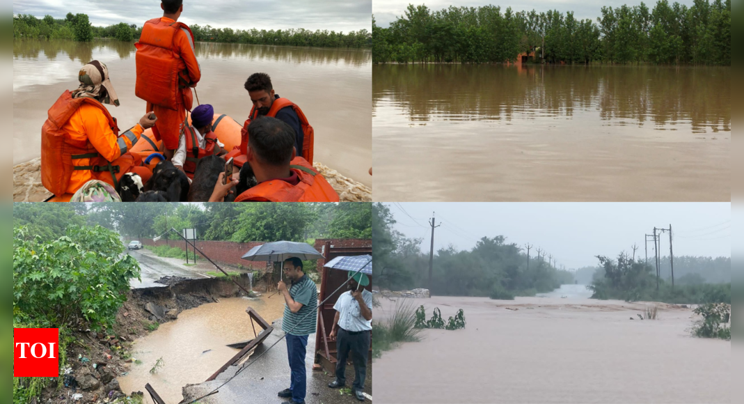 Floods In Ropar - Times of India