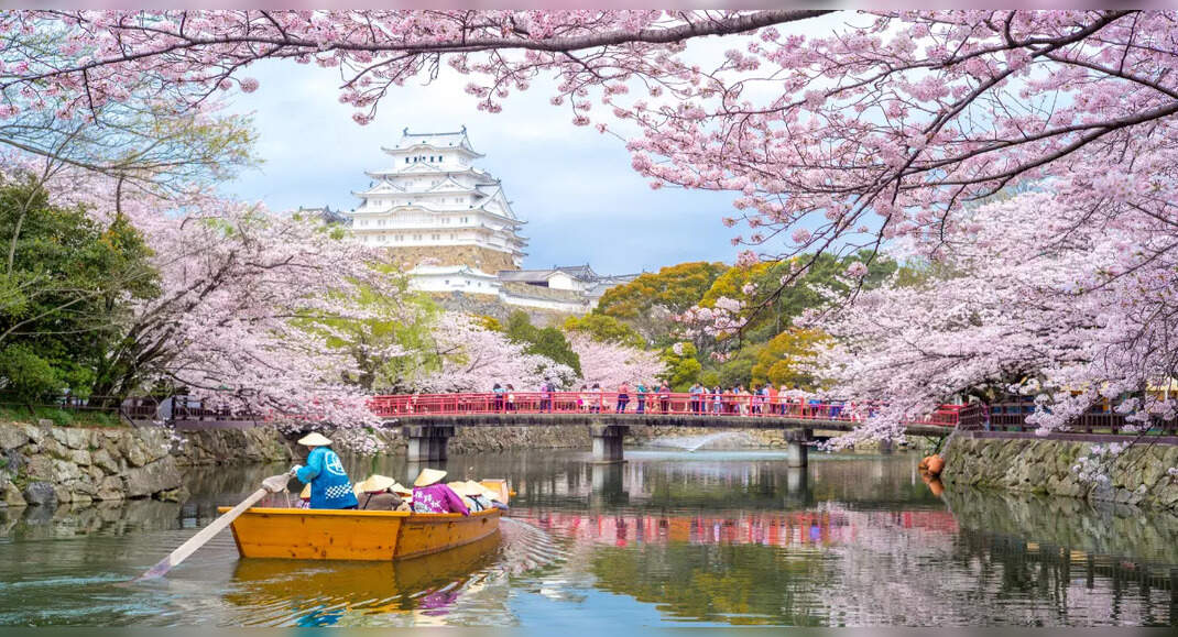 Falling in love with Japan with just 12 photos! | Times of India Travel