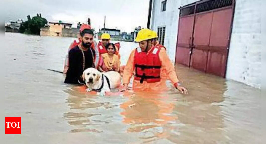 Solani river water surges & breaks embankment, flooding agri fields ...