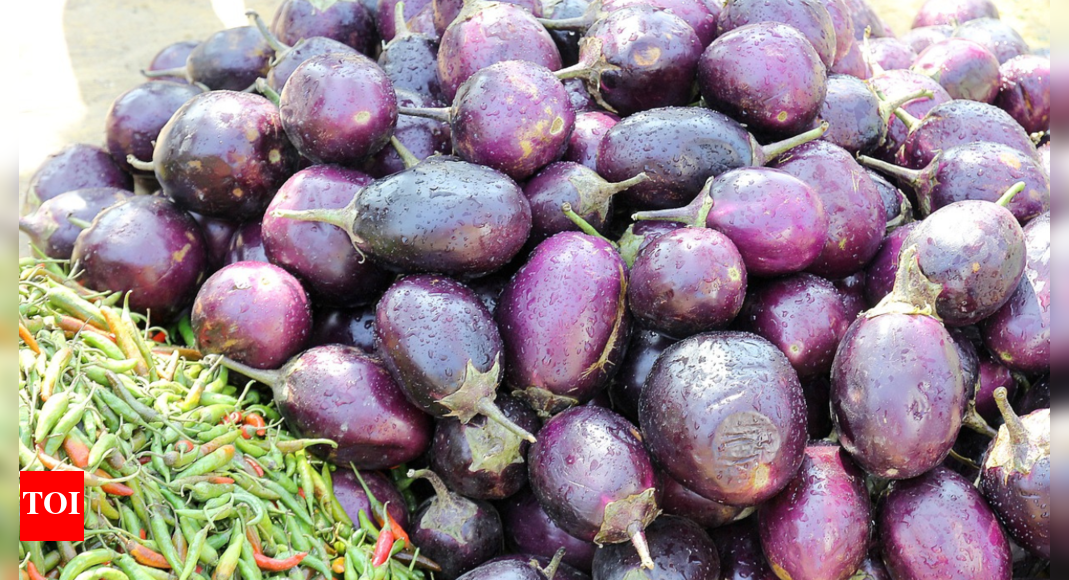 150 To 90 In 3 Days: Brinjal Shows Downward Curve | Kolkata News ...