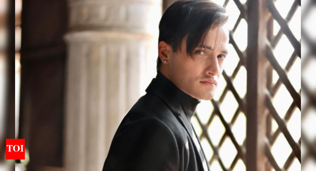 Asim Riaz turns 30 today; Aly Goni, Umar Riaz and others pen down sweet ...