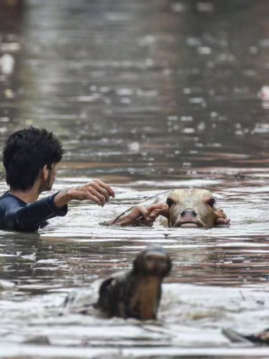 Delhi Flood | Red Fort, Kalindi Kunj, Yamuna Bank, Kashmiri gate | Non ...