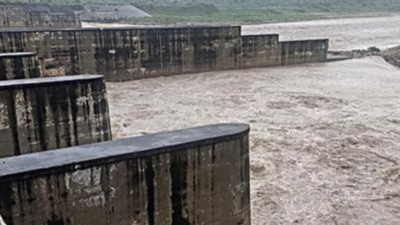 Floods In Delhi: Brace for more floodwaters in Delhi: Hathnikund ...