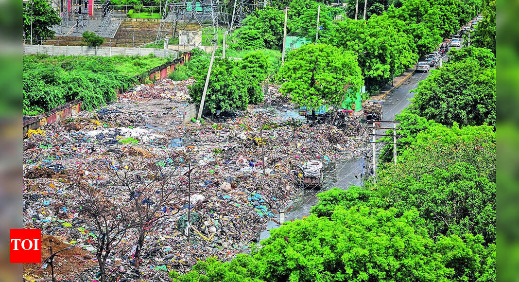 A Waste Collection Point, Udyog Vihar Site Is Now Mini Landfill ...