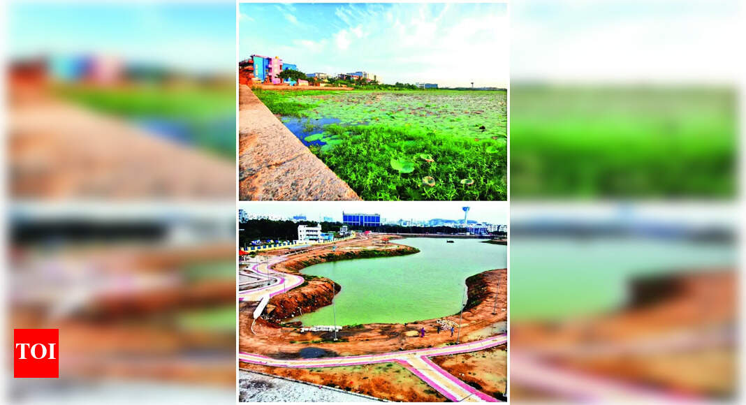 Sipcot Kills A Lake To Build A Park | Chennai News - Times of India