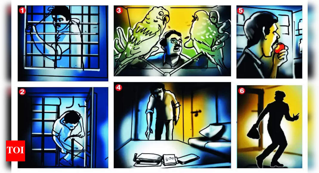 Tragic Silence: Burglar Kills ‘noisy’ Lovebirds, Goes On To Ransack ...