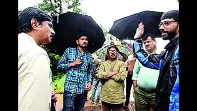 Tree Felling For Highway: Nhai, Forest Dept, Greens Do Joint Survey ...