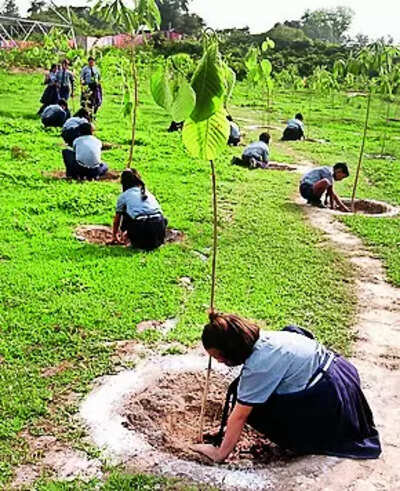 Up’s Rural Homes To Get Sapling And Tap Connection From July 16 ...