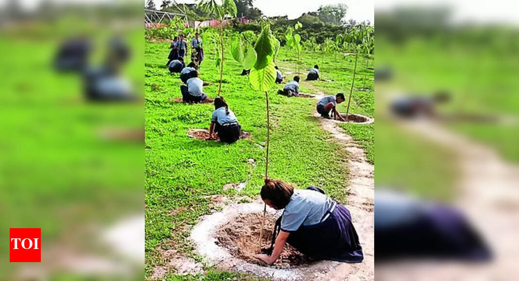 Up’s Rural Homes To Get Sapling And Tap Connection From July 16 ...