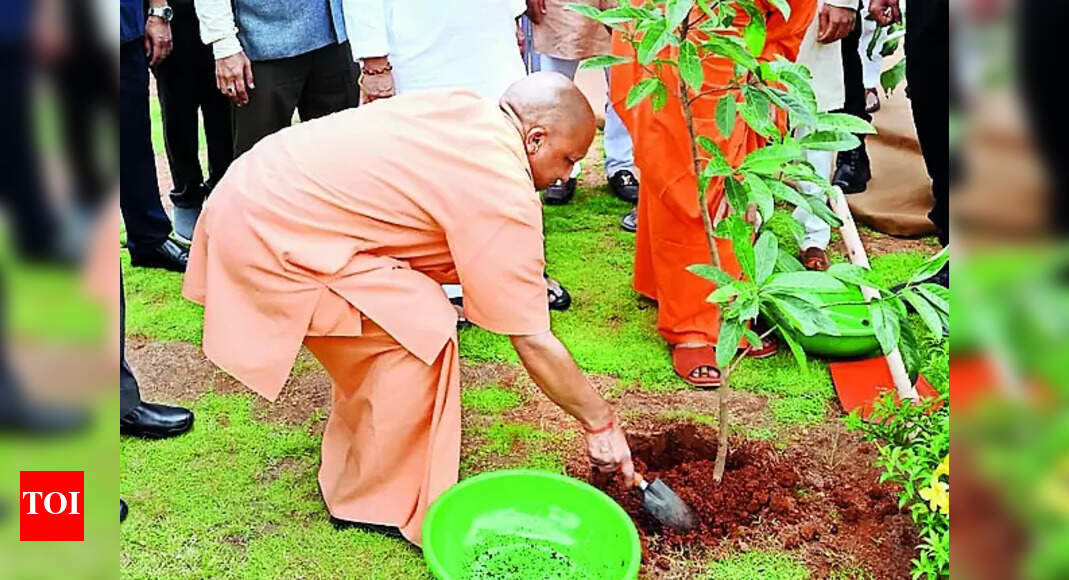 Up Govt Set To Create Indra’s ‘nandan Van’ In Urban Areas | Lucknow ...