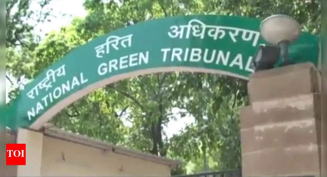 NGT tells MCD to revamp Ghazipur slaughterhouse | Delhi News - Times of ...