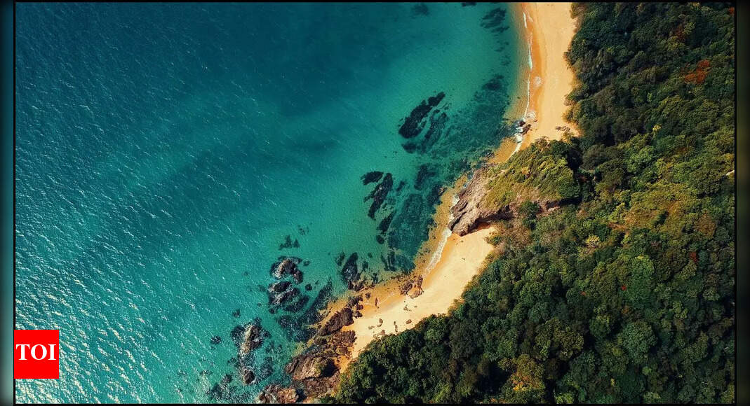 Climate change linked to 'greening' of world's oceans: Study - Times of ...