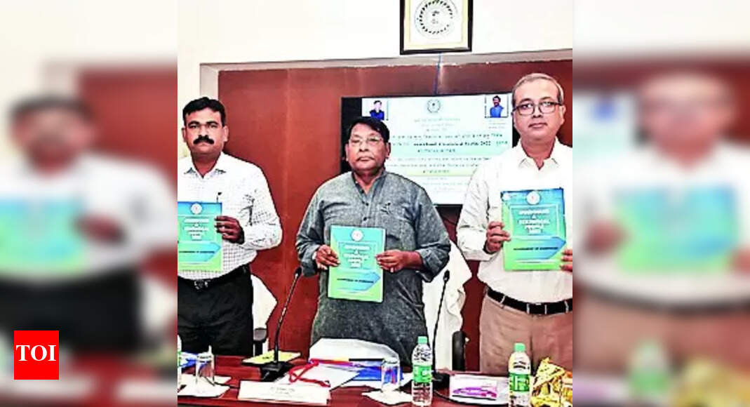 Spl Drive For 100% Birth And Death Registration Rolled Out | Ranchi ...