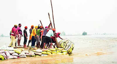 23k Leave Homes In Flood-hit Punjab | Chandigarh News - Times of India
