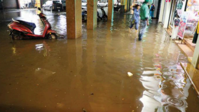 Goa among 12 states with high exposure to flooding events, cyclones ...