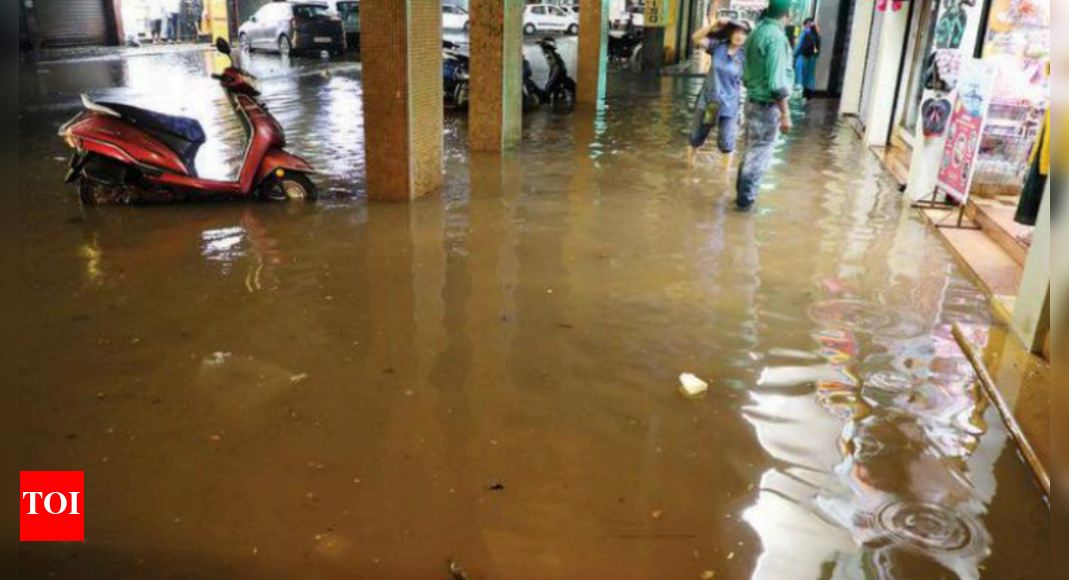 Goa among 12 states with high exposure to flooding events, cyclones ...