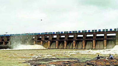 Govt Alerts Residents Of Low-lying Areas Along Tapi | Nashik News ...