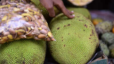 How to choose perfect Kathal(jackfruit) - Times of India