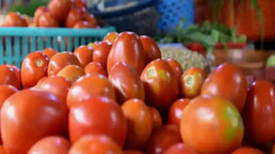 Govt reduces subsidised rate of tomato to Rs 80/kg with immediate effect in Delhi-NCR, other ...