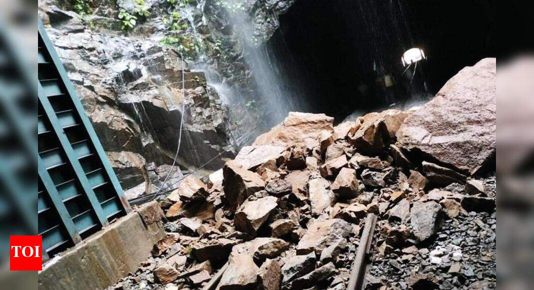 Landslide near Dudhsagar hits train service | Goa News - Times of India