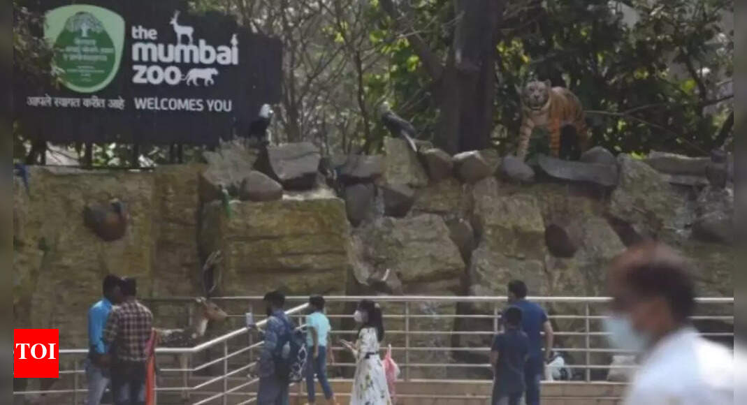 Byculla zoo ready to swap penguins and other exhibits | Mumbai News ...