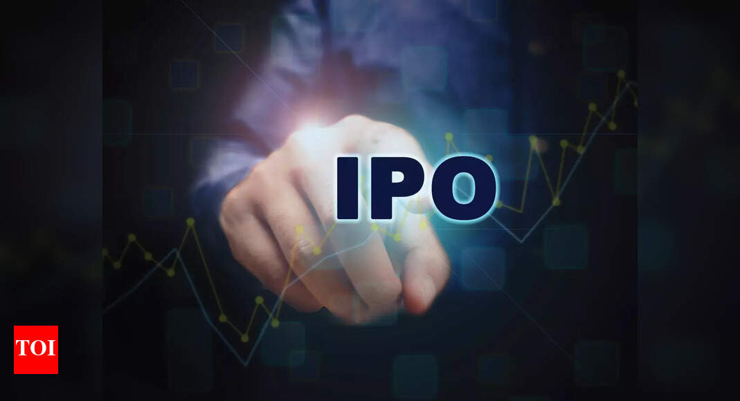 Netweb Technologies IPO opens for public today: Should you subscribe it? - Times of India