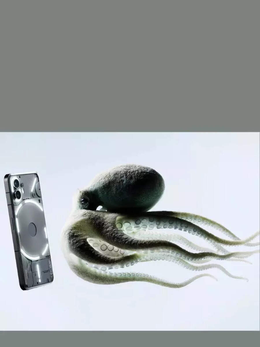 Nothing Drops: Places where you can buy Phone (2), availability, and ...