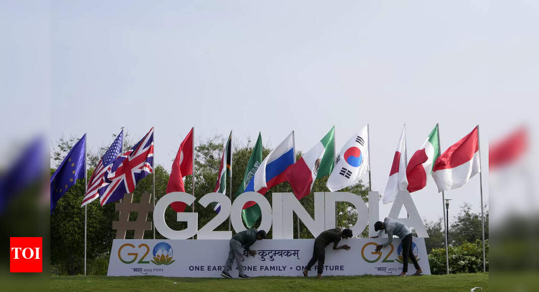 G20 Meeting: Panel reviews arrangements for G20 meet | India News ...