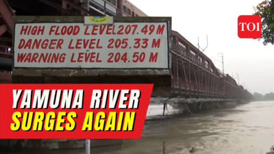 Yamuna Water Level: Delhi wades and watches as Yamuna level surges again | Delhi News - Times of ...