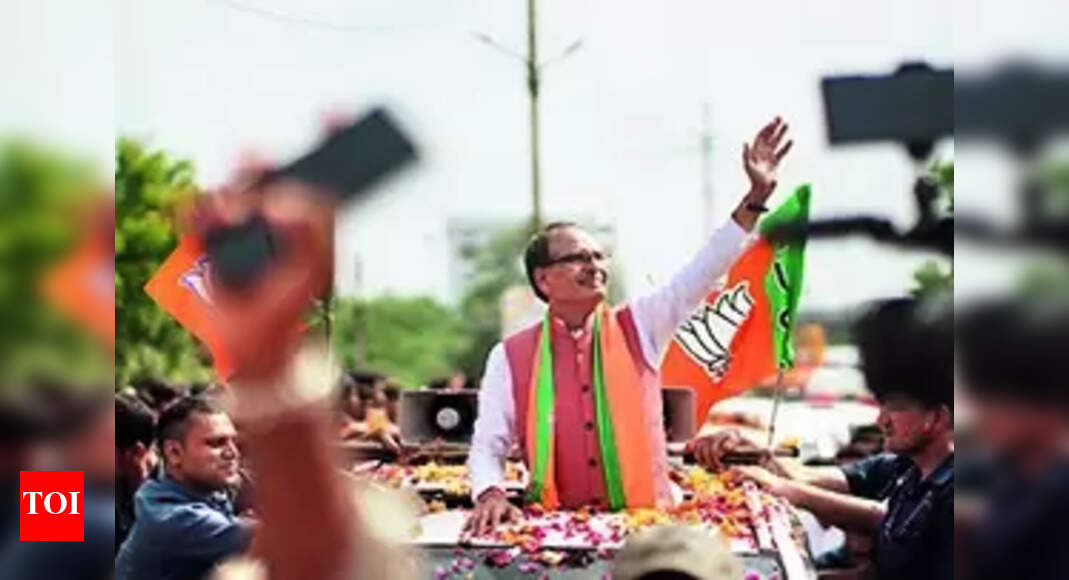 Shivraj Holds Vikas Parv In Biaora | Bhopal News - Times of India