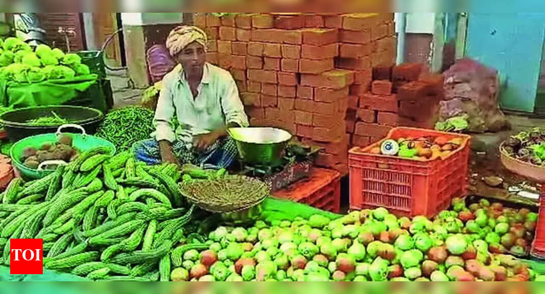 Farmer Uses Cctv Camera To Protect Pricey Tomatoes | Hubballi News - Times of India