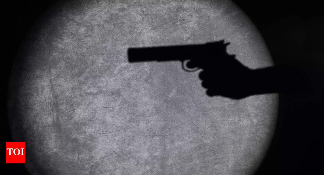 3 Year Old Infant Accidentally Shoots Dead 1 Year Old Sibling With A