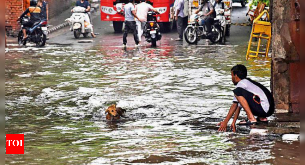 Delhi flood news today: Re-opening of Kashmere Gate ISBT to provide ...