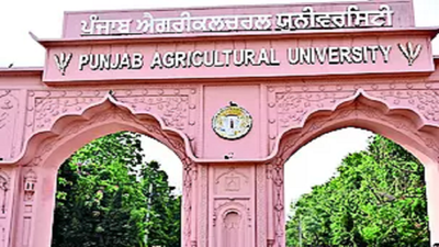 Wi-Fi Facility: Pau Extends Hostel Timings | Ludhiana News - Times of India