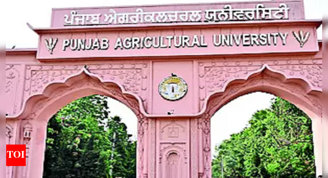 Wi-Fi Facility: Pau Extends Hostel Timings | Ludhiana News - Times of India