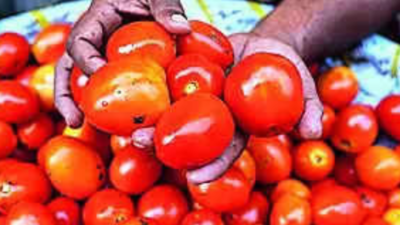 Govt cuts price of subsidised tomato to Rs 70/kg | India News - Times of India